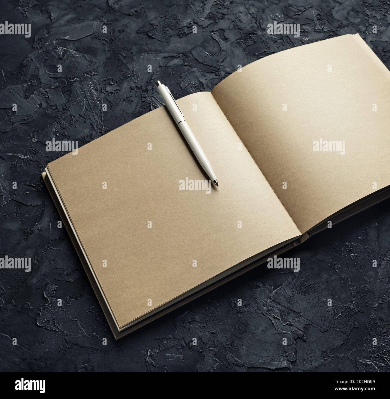 Book and pen hi-res stock photography and images - Alamy