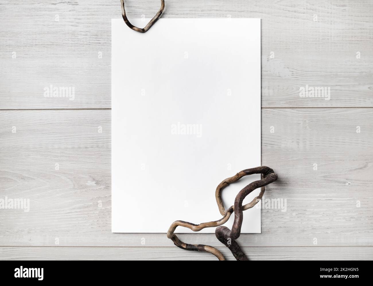 Blank letterhead, dry branch Stock Photo - Alamy