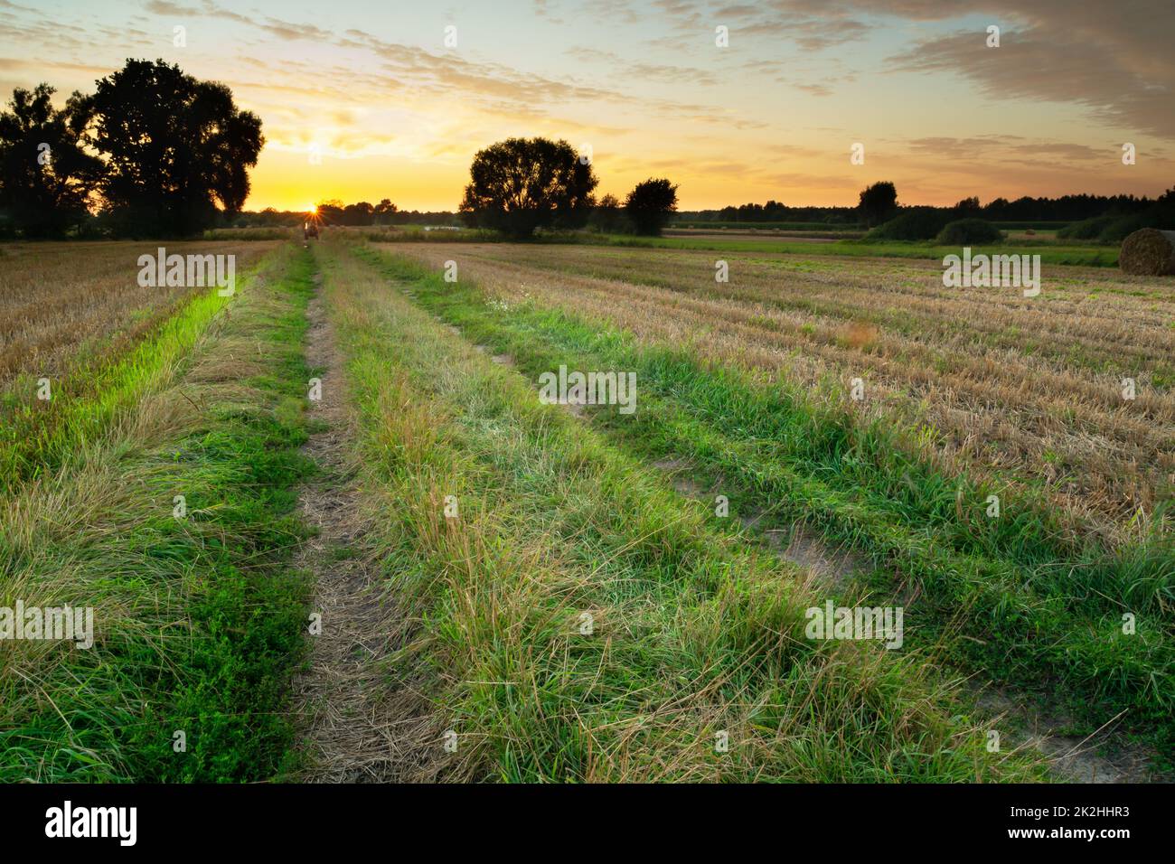 Dirt road between fields and the sunset sky Stock Photo - Alamy