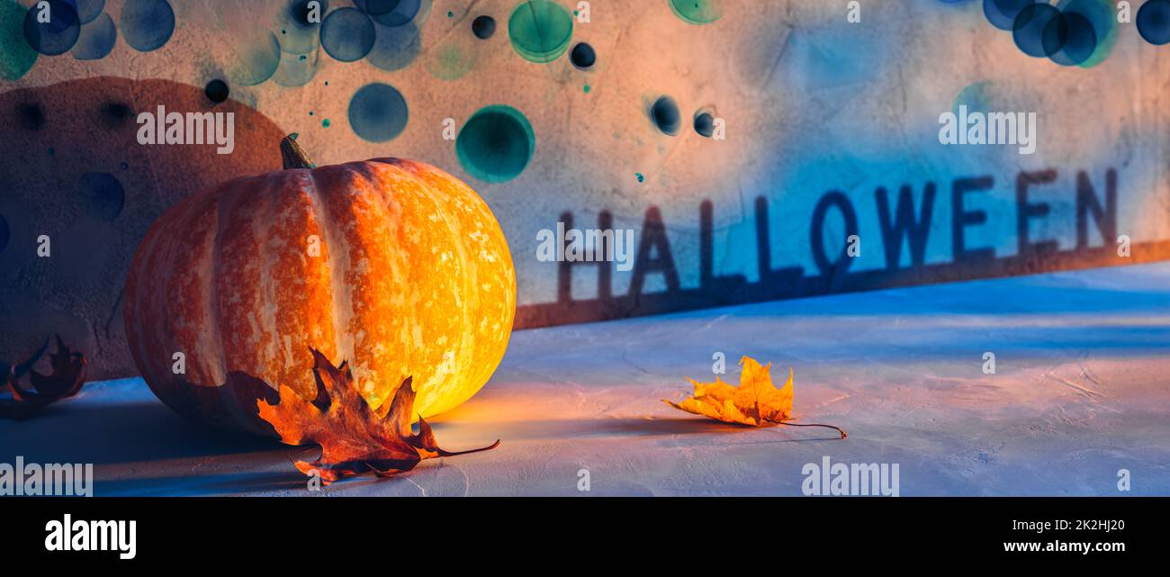 Halloween holiday pumpkin on concrete stone floor with autumn leaves ...