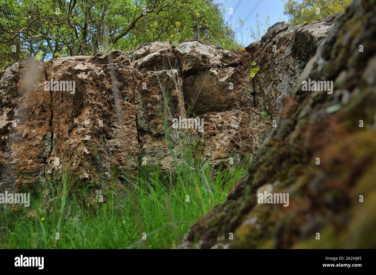 View of the Big Jupta the Golan Heights, pit crater in Odem Forest ...