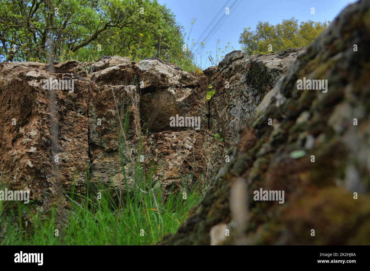 View of the Big Jupta the Golan Heights, pit crater in Odem Forest ...