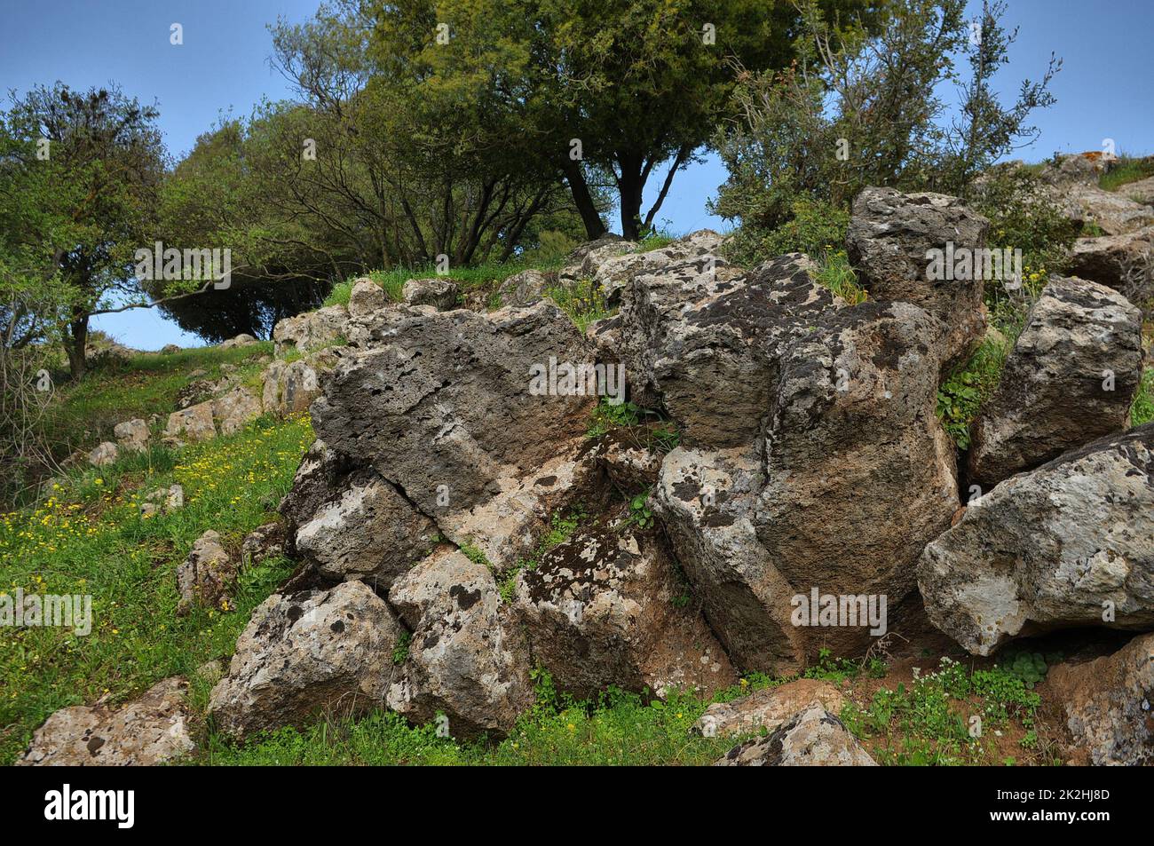 View of the Big Jupta the Golan Heights, pit crater in Odem Forest ...