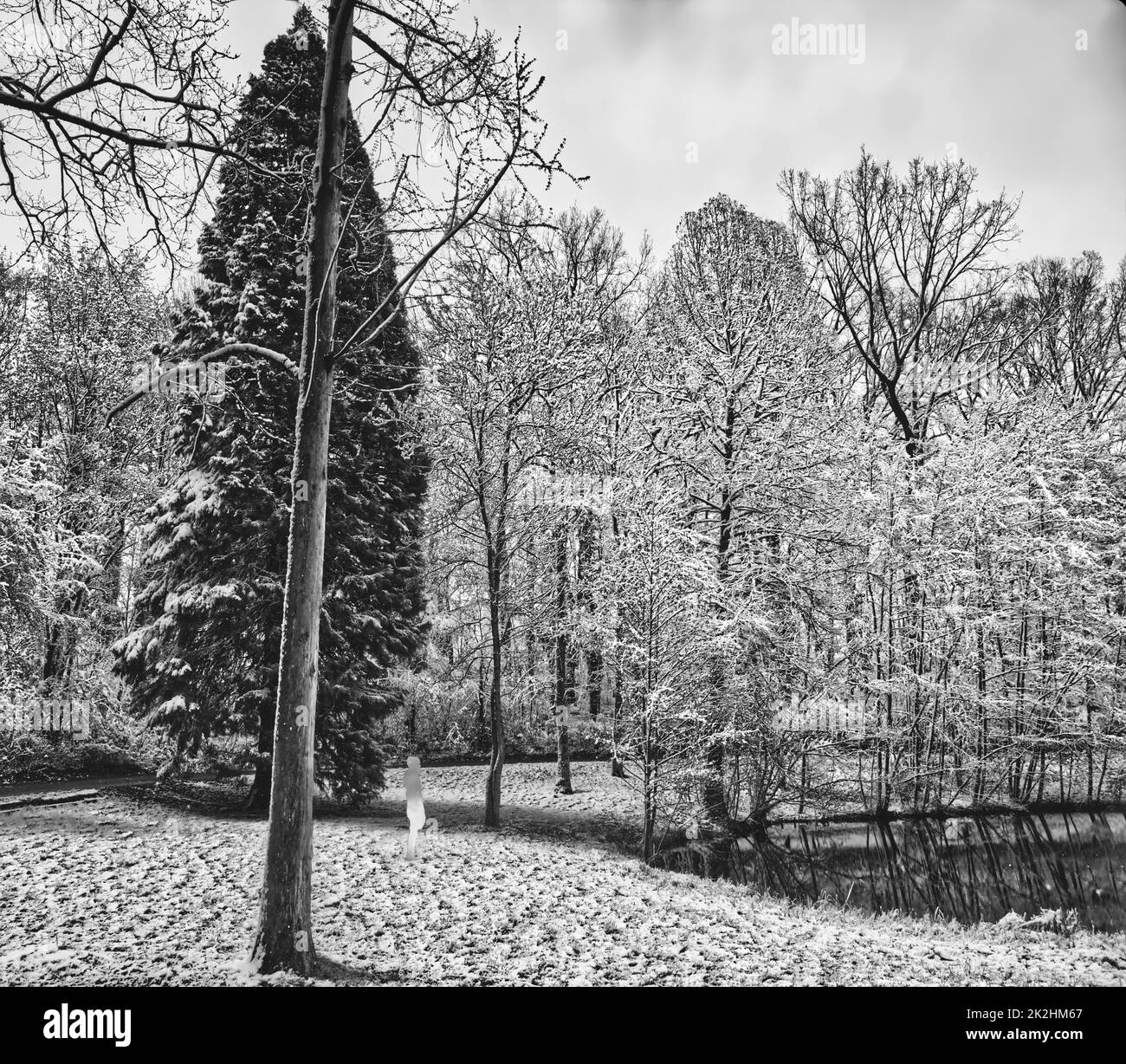 Hugh contrast hi-res stock photography and images - Alamy