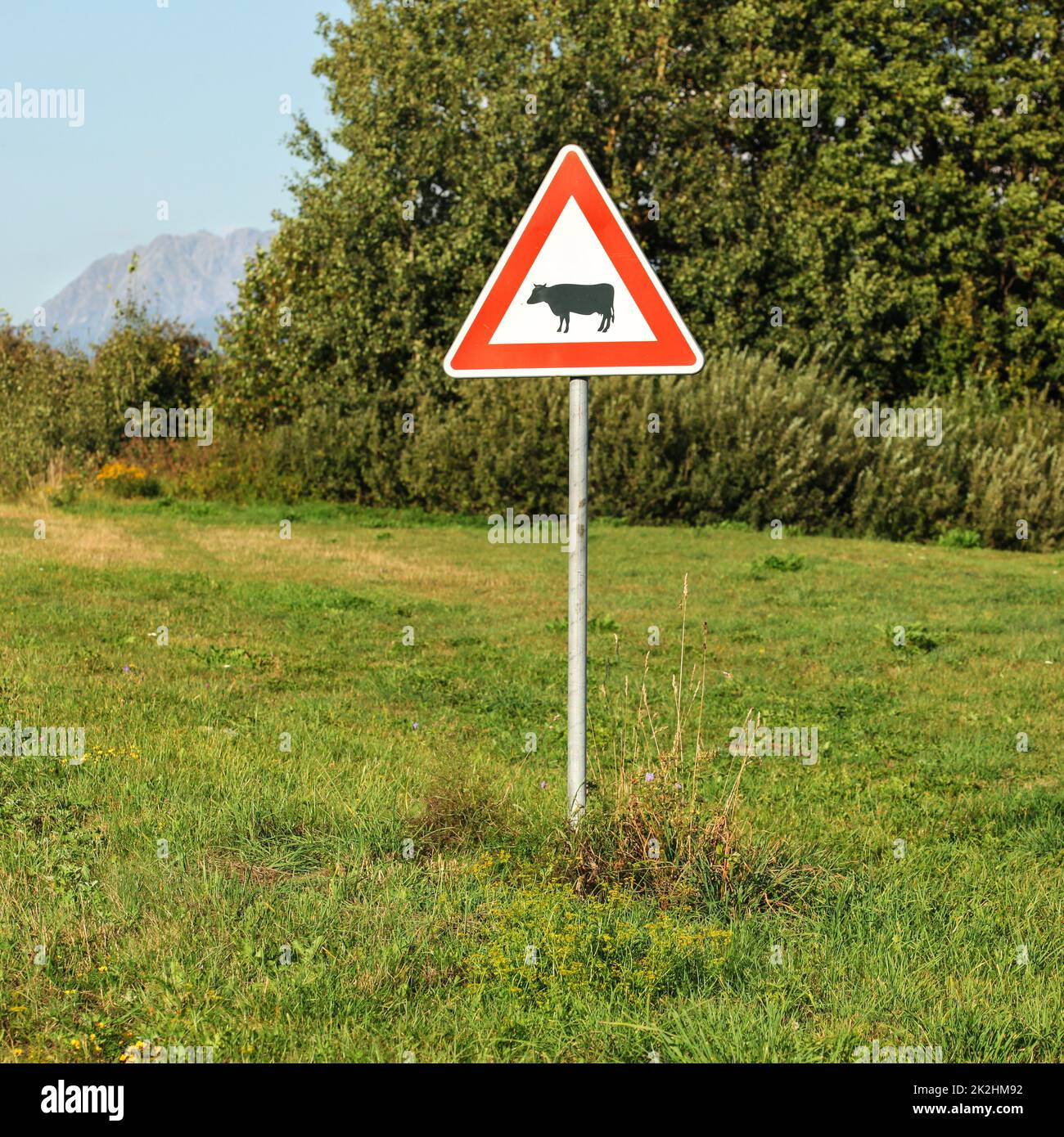 Green warning sign hi-res stock photography and images - Alamy