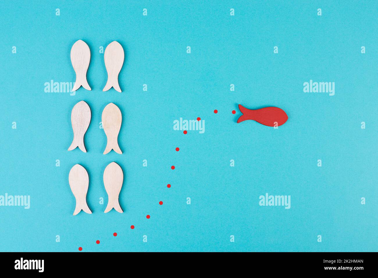 One red fish is swimming against the stream, opposite direction of the ...