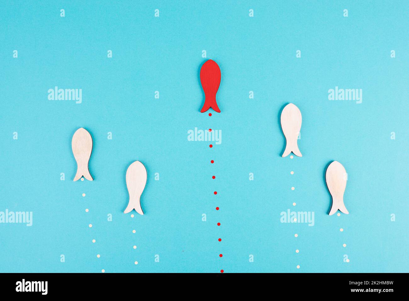 One red fish is swimming against the stream, opposite direction of the ...