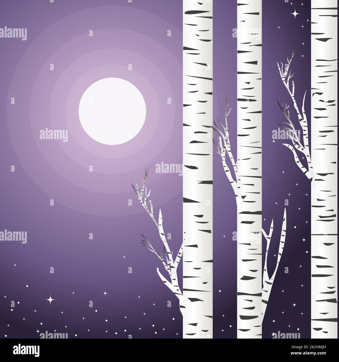 Birch trees in moonlight hi-res stock photography and images - Alamy