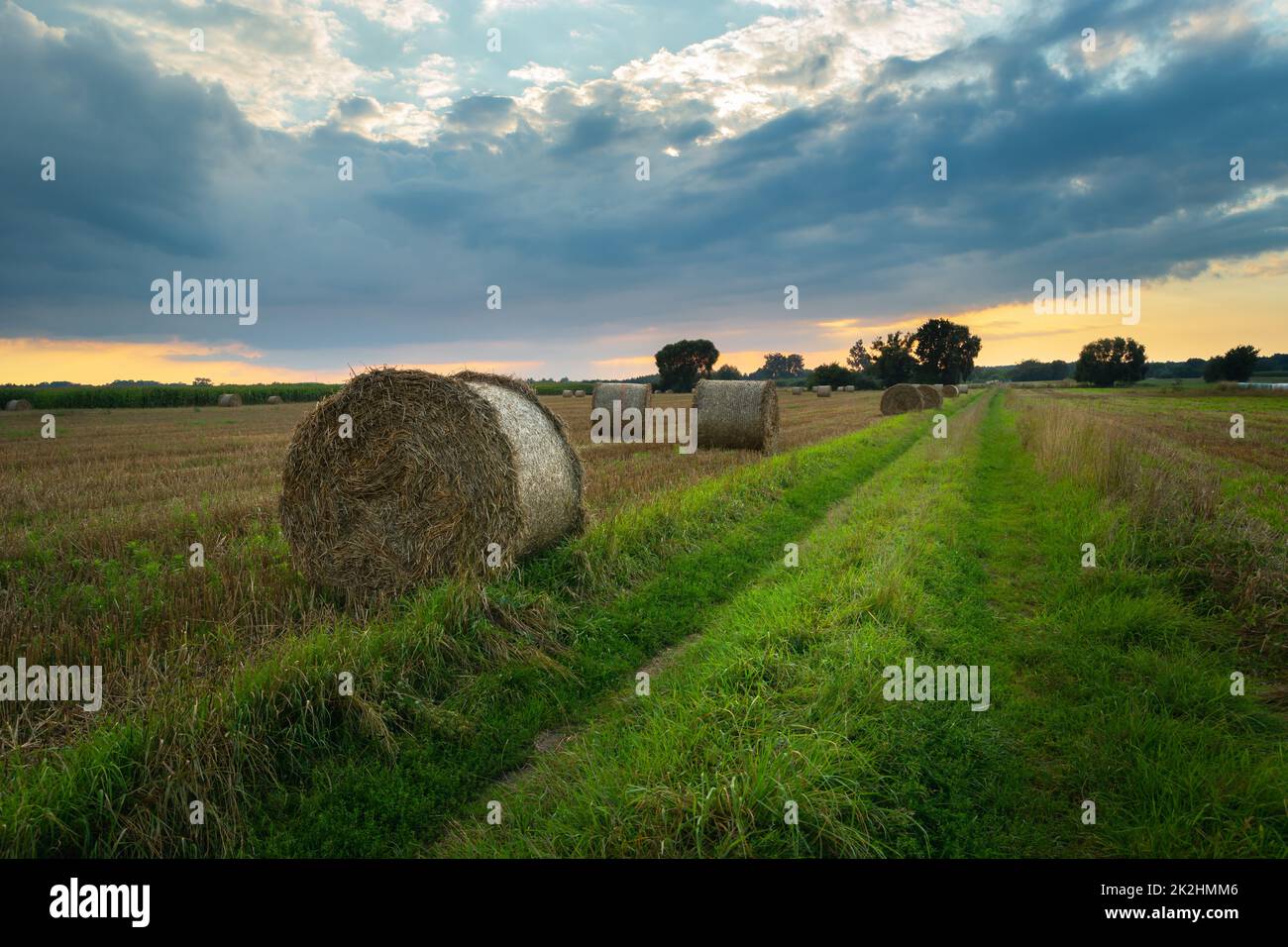Hay bales next to a dirt path Stock Photo - Alamy