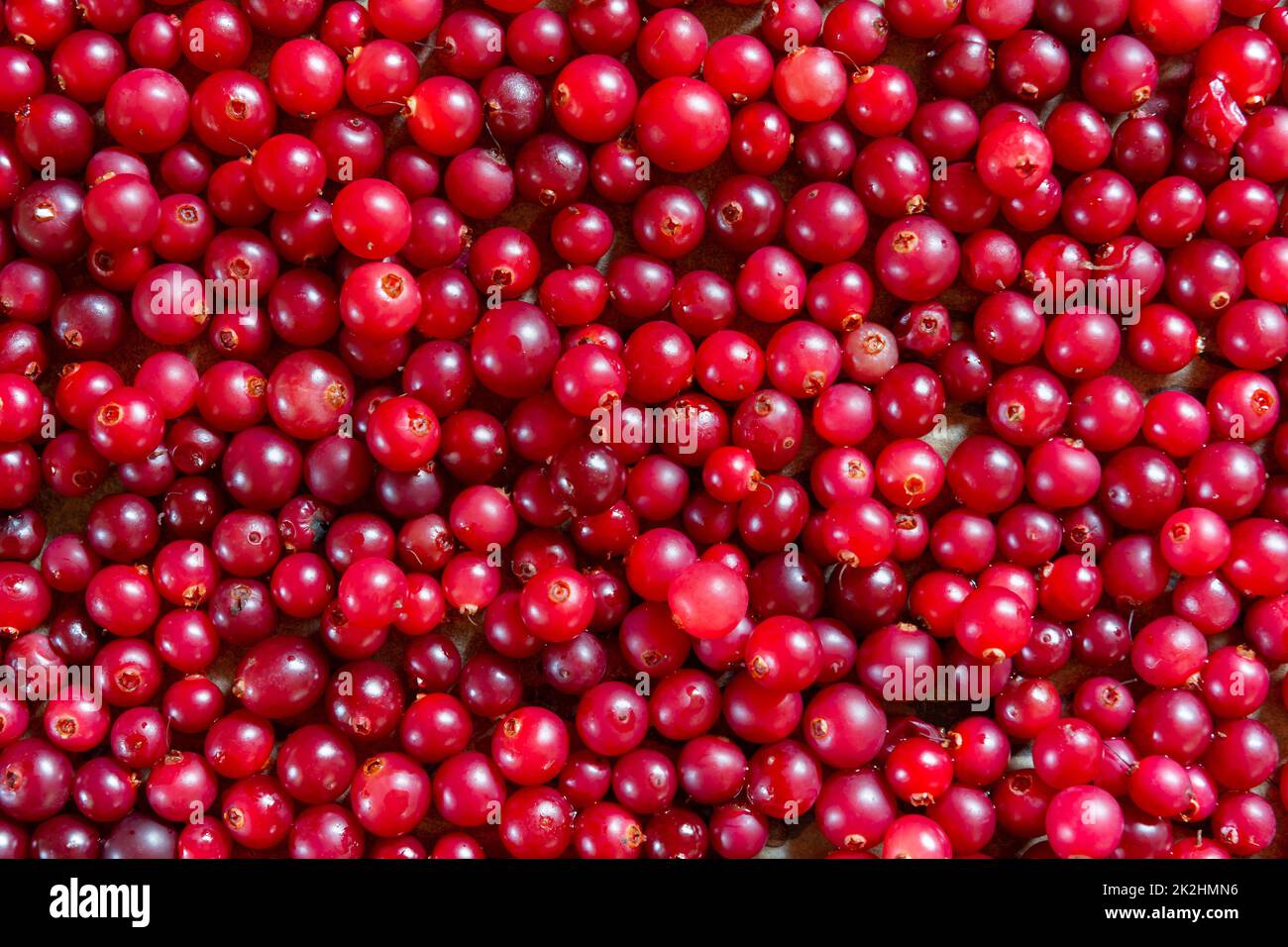 Fresh red and round cranberries, top view Stock Photo - Alamy