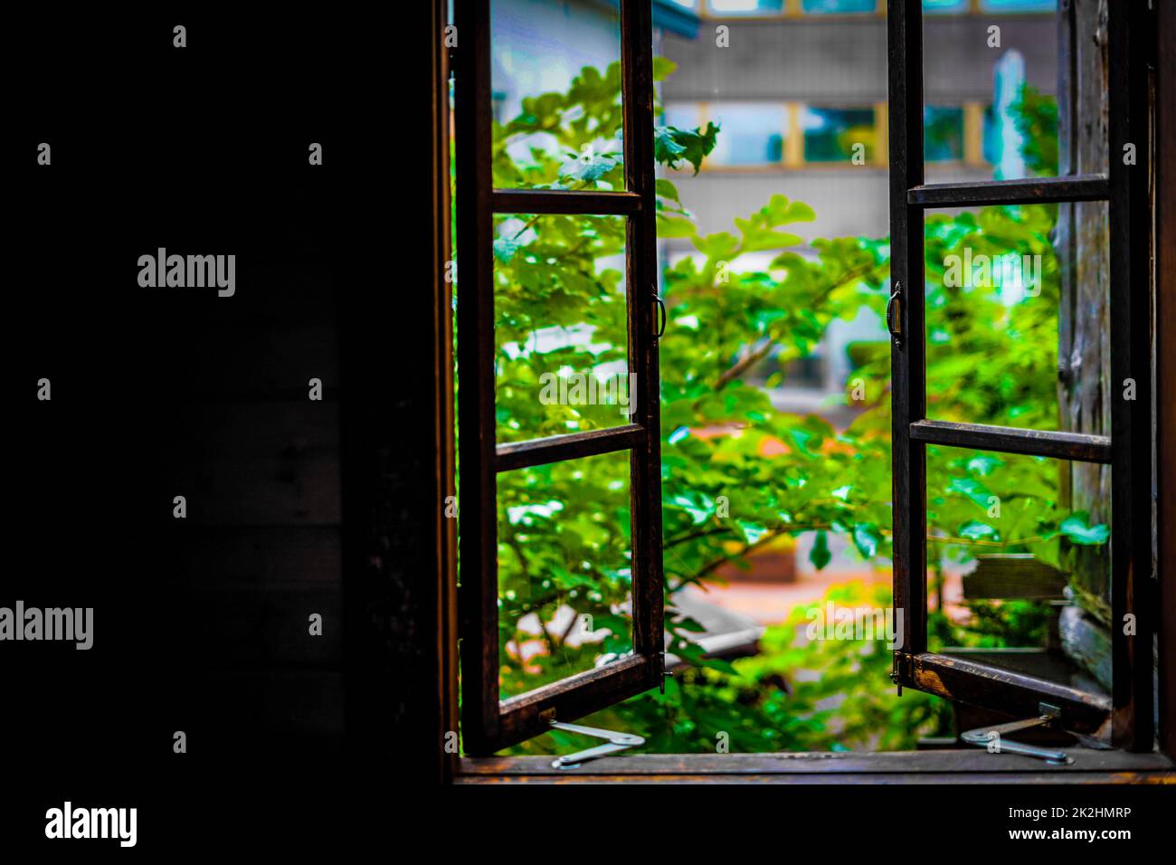 New greenery seen from dark room Stock Photo - Alamy