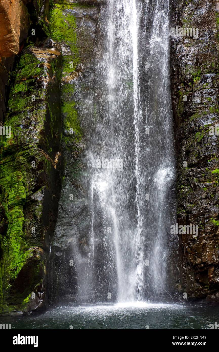 Beautiful and paradisiacal waterfall of Veu da Noiva (Veil of the Bride ...