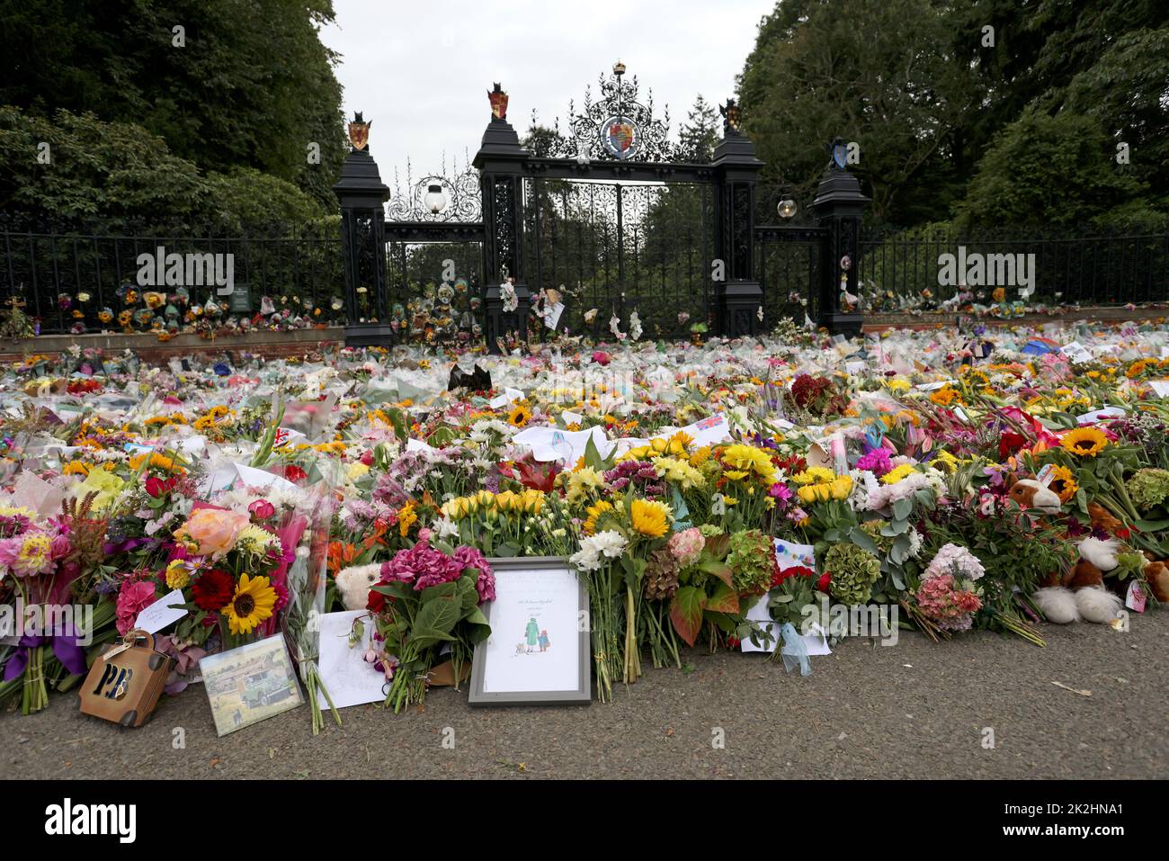 Flowers sandringham norwich gate hi-res stock photography and images ...