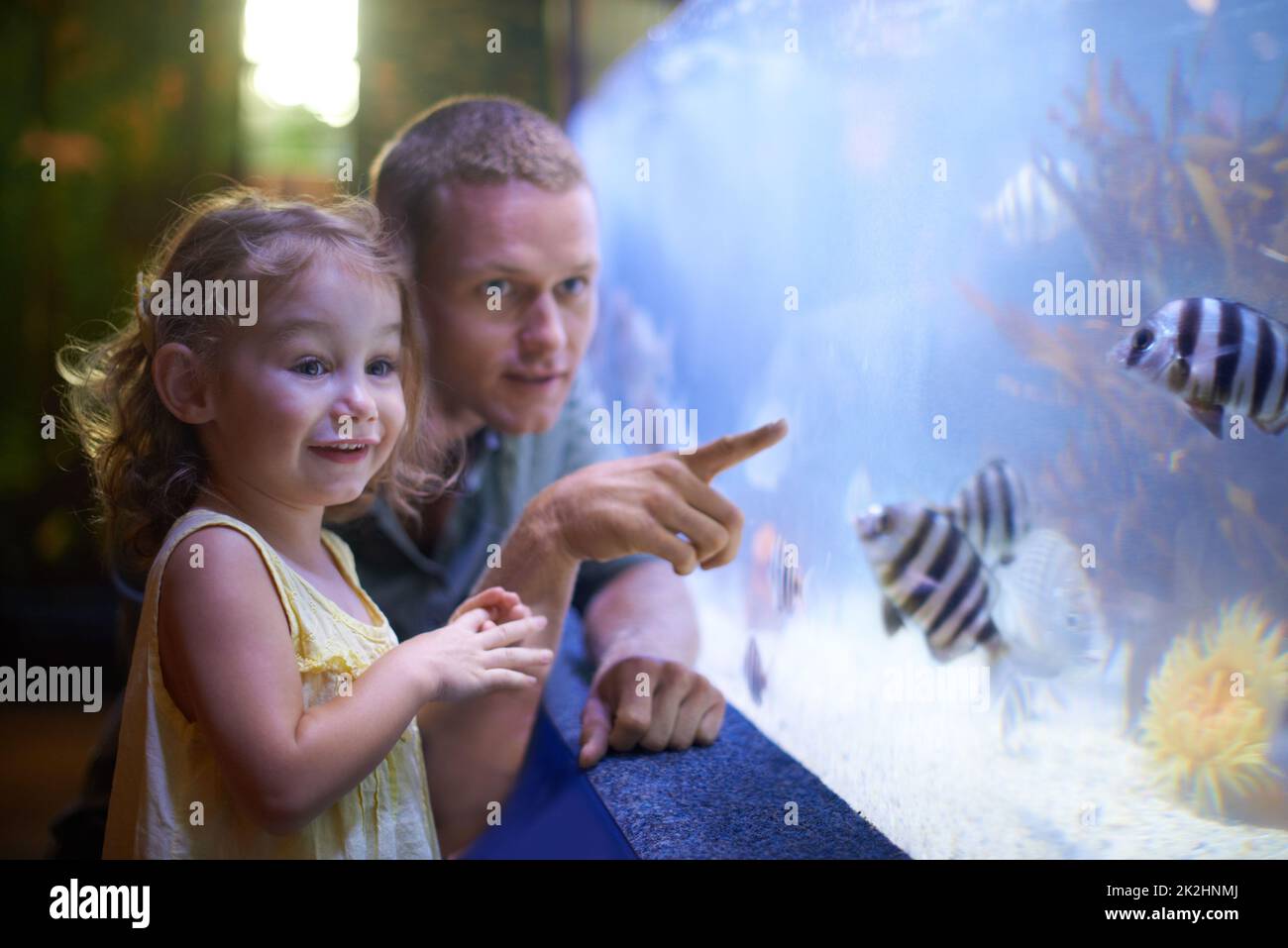 Aquarium and girl hi-res stock photography and images - Alamy