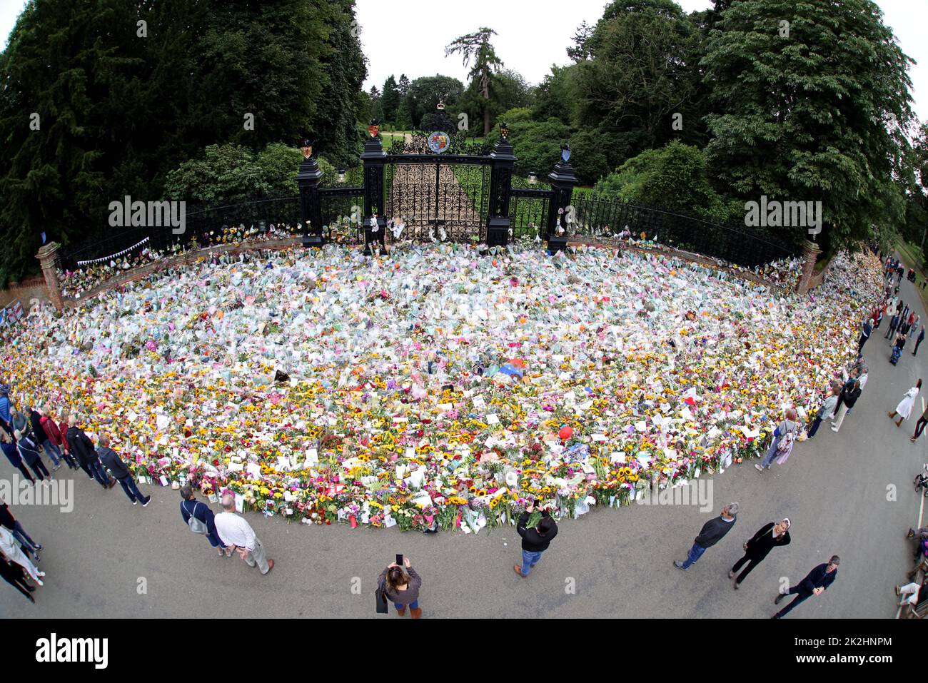 Flowers sandringham norwich gate hi-res stock photography and images ...