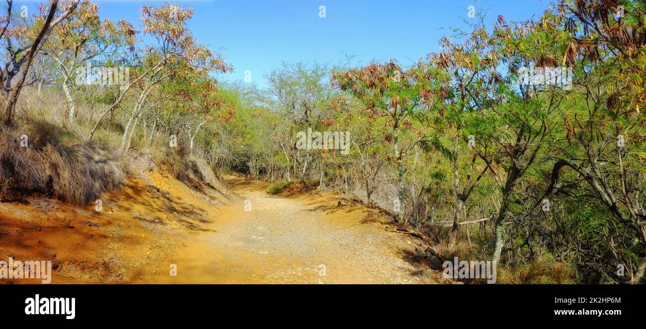 African wilderness hi-res stock photography and images - Alamy