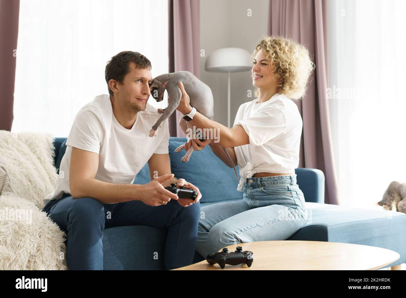 Cat couple hi-res stock photography and images - Alamy