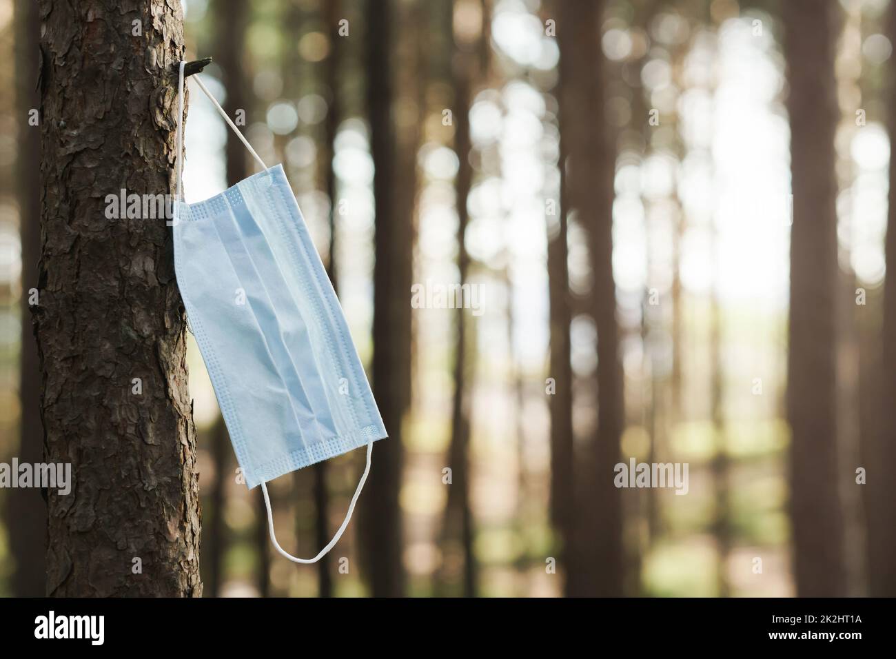 Mask on tree. Concept of environmental pollution or COVID-19 pandemic ...