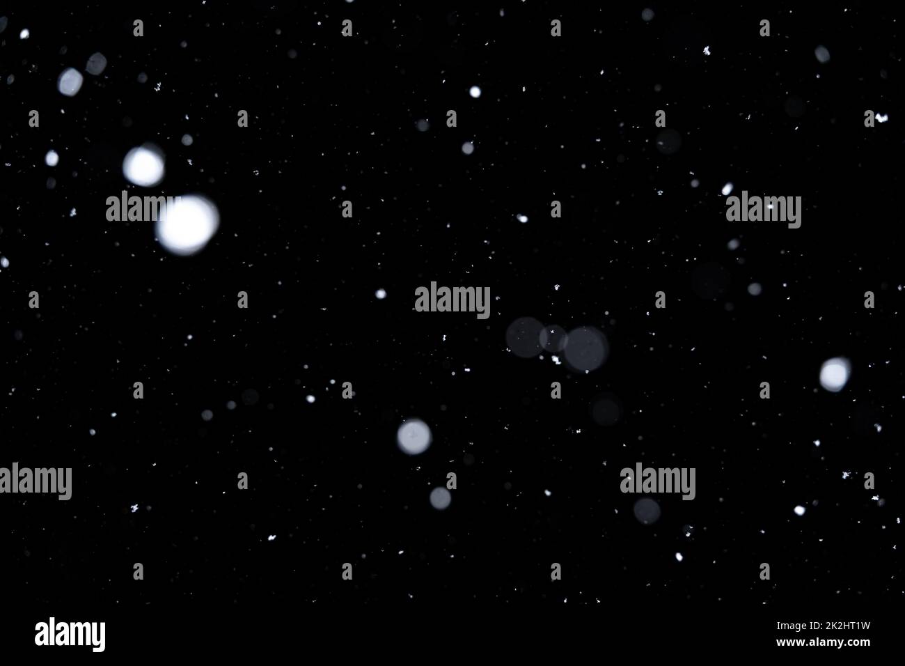 Element for winter design or overlay. Real snow over black background ...