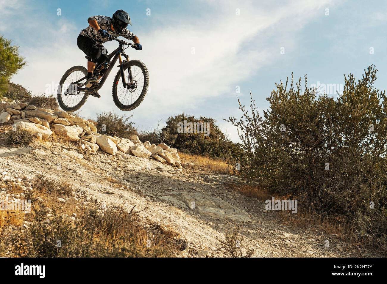 Professional bike rider jumping during downhill ride on his bicycle ...