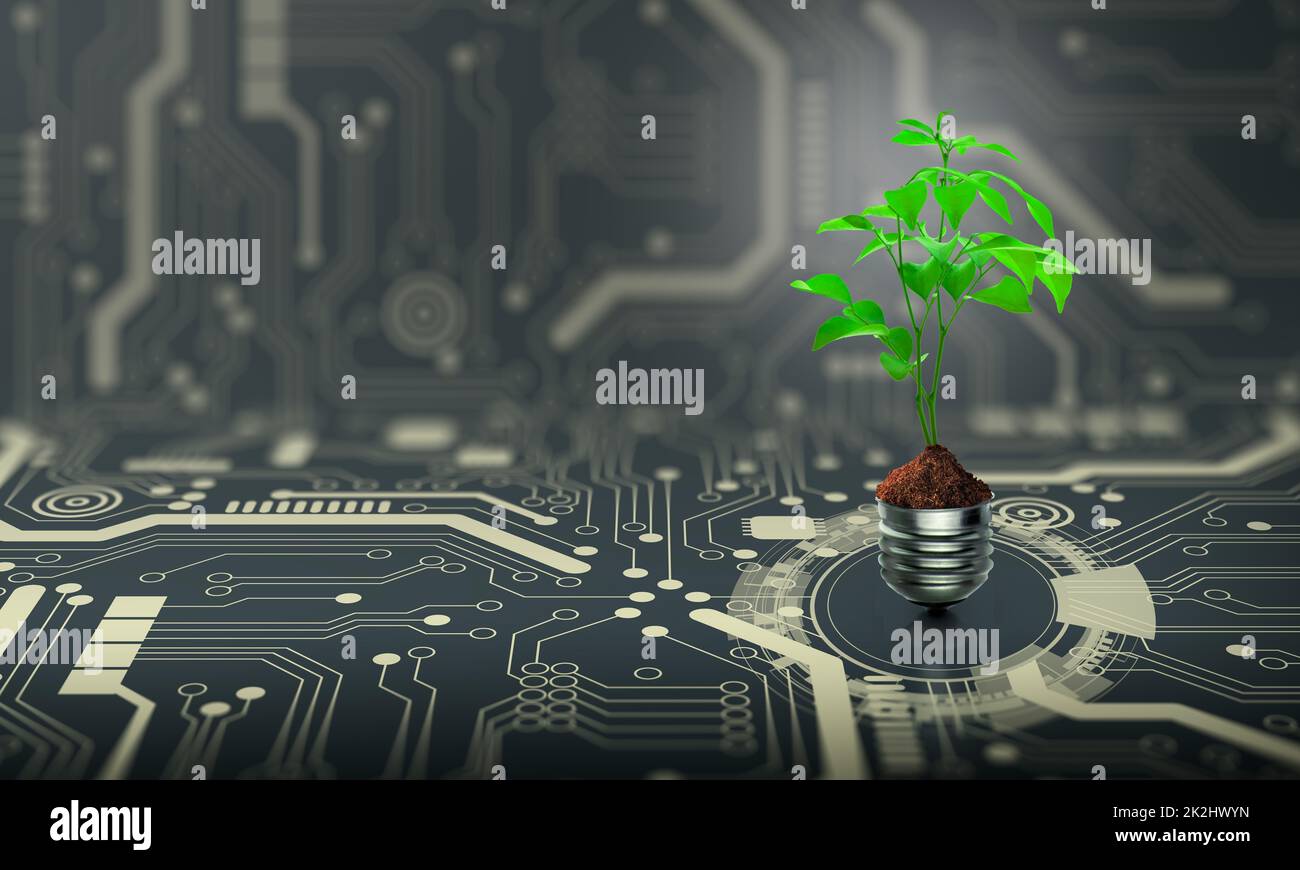 Tree with soil growing on Light bulb. Nature with Digital Convergence ...