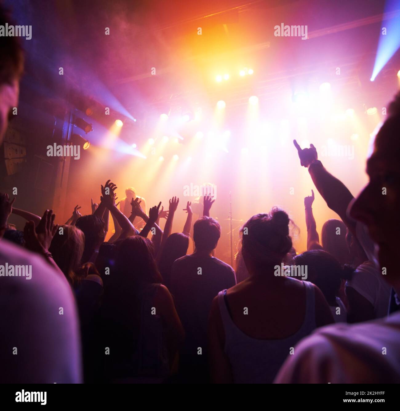 Rocking Out Rear View Of A Crowd Cheering At A Concert This Concert Was Created For The Sole