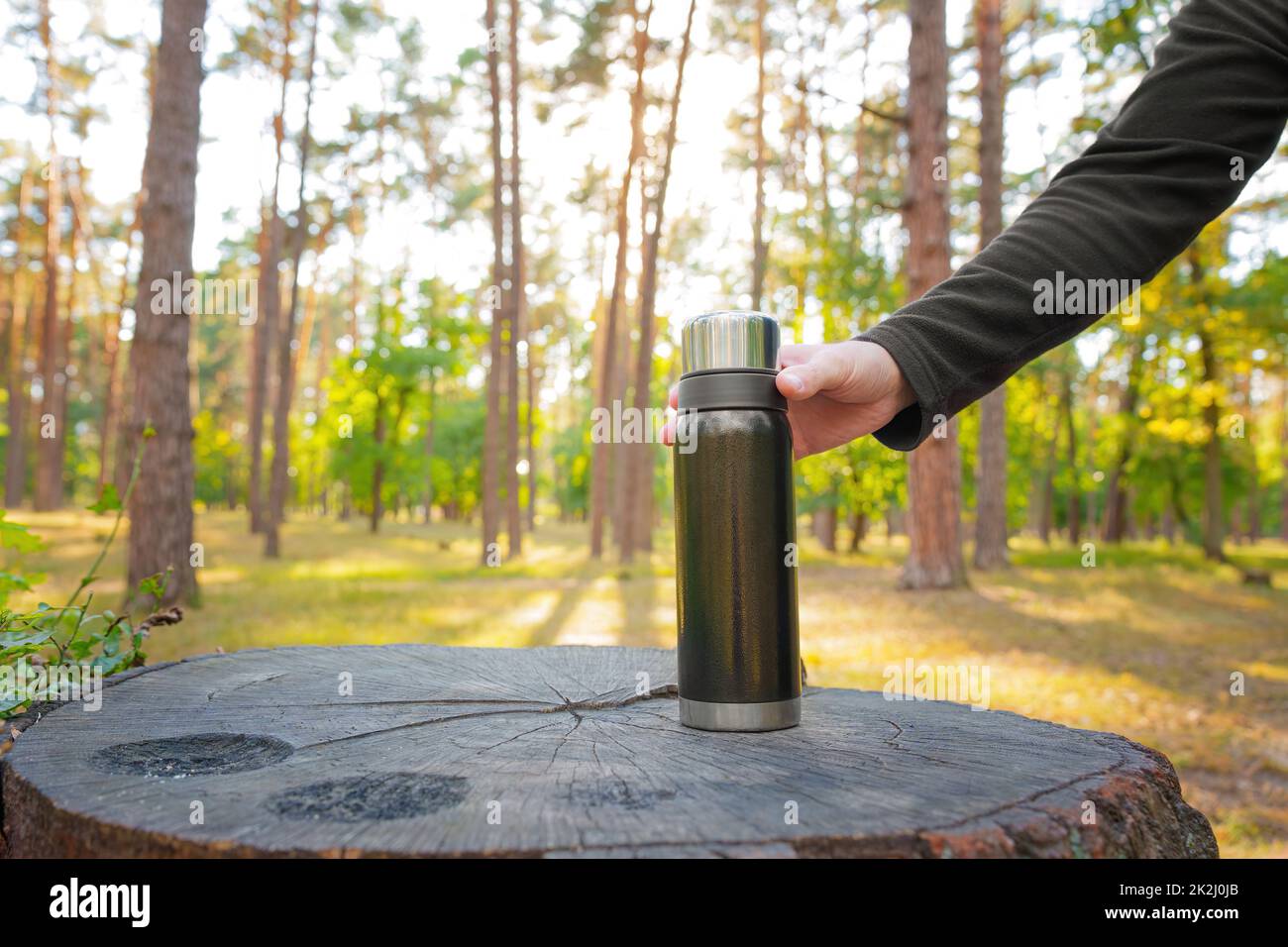 Black stump picnic place hi-res stock photography and images - Alamy
