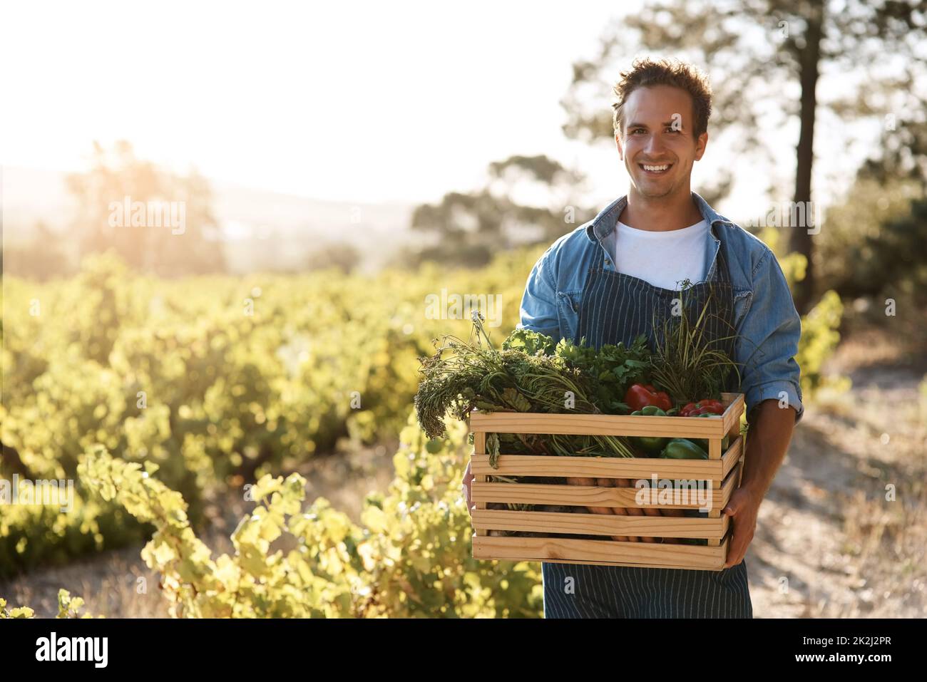 Starting a farm is never easy, but its worth it. Shot of a young man ...