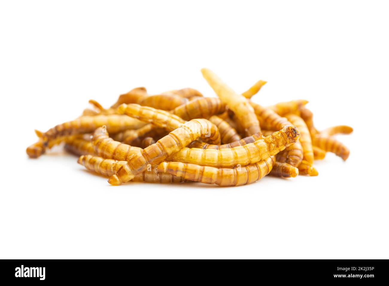 How to eat fried worms hi-res stock photography and images - Alamy