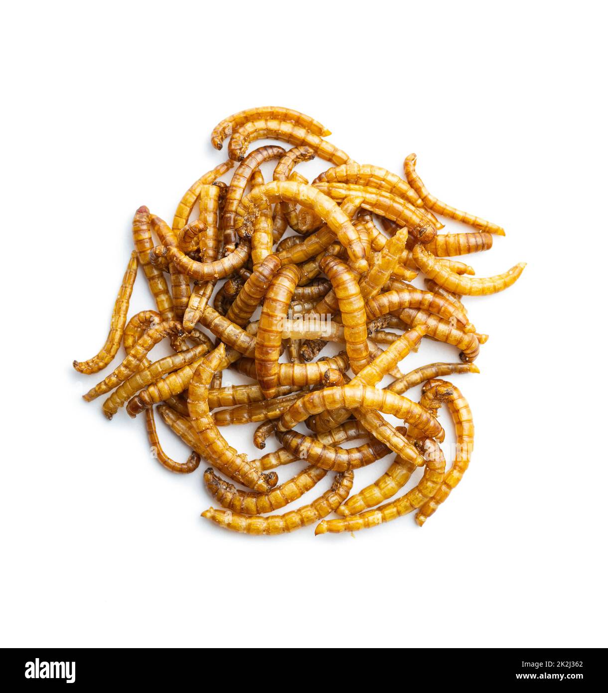 How to eat fried worms hi-res stock photography and images - Alamy