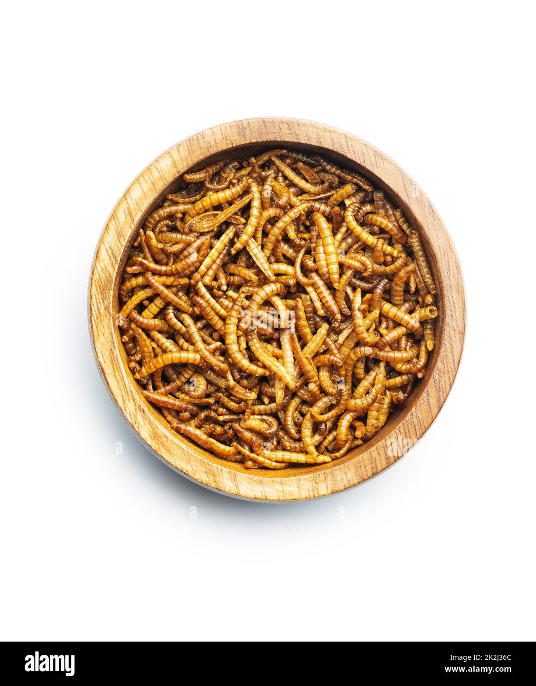 Fried salty worms in bowl. Roasted mealworms Stock Photo - Alamy