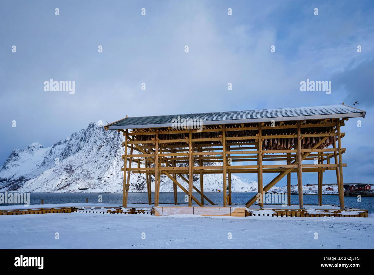 Drying flakes for stockfish cod fish in winter. Lofoten islands, Norway ...