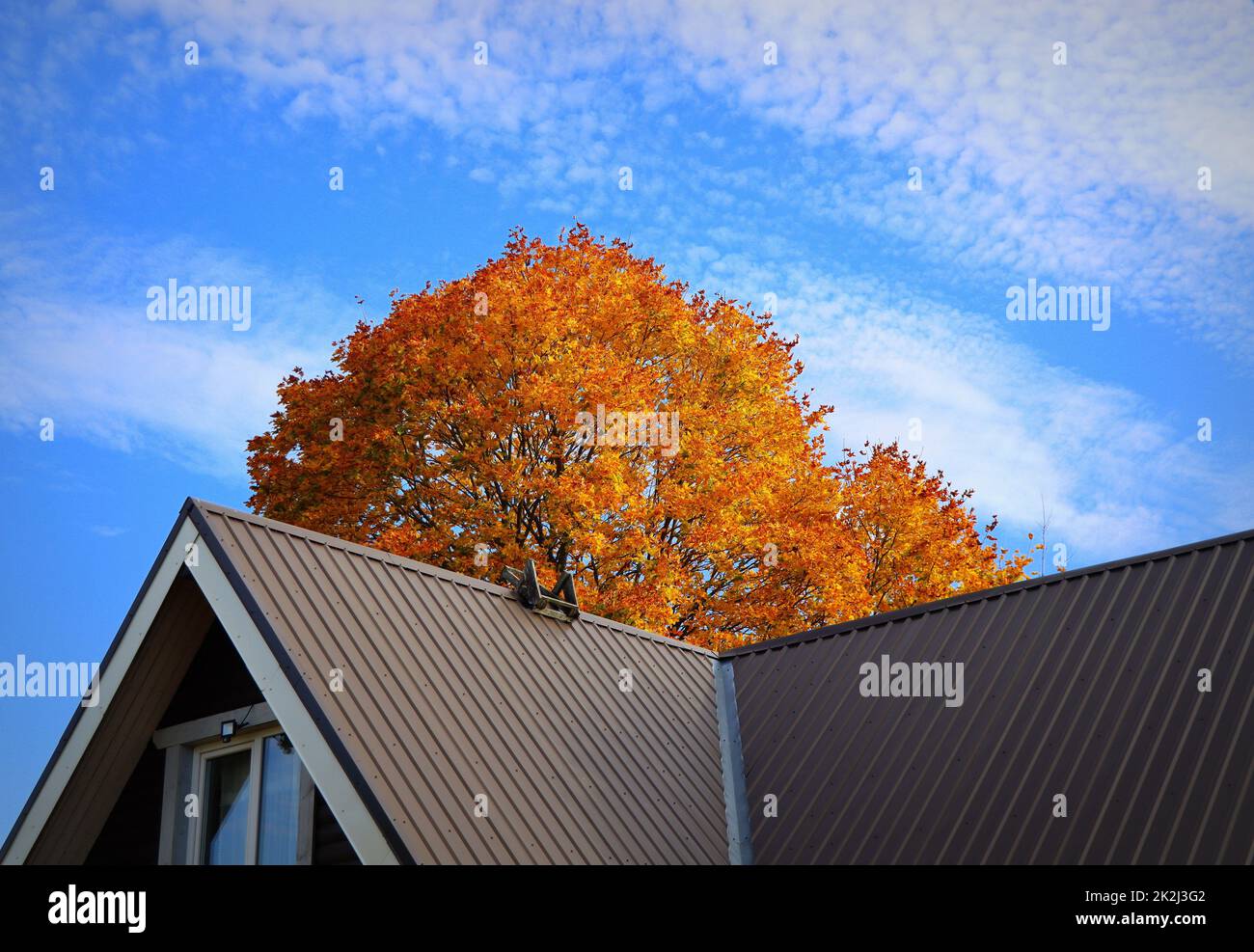 Autmn leaves home garden hi-res stock photography and images - Alamy