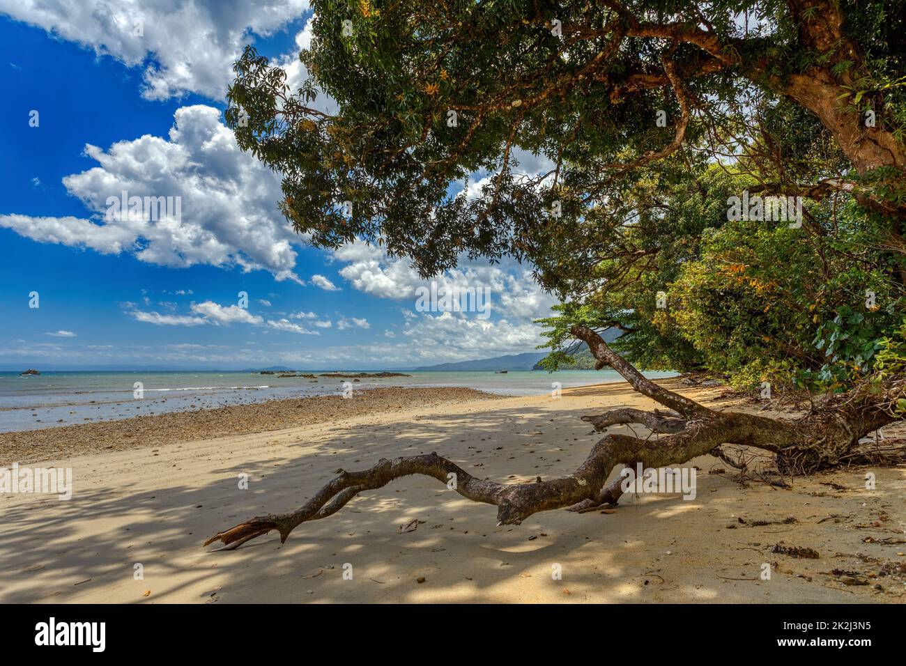 Tropical rainforest masoala peninsula national hi-res stock photography ...