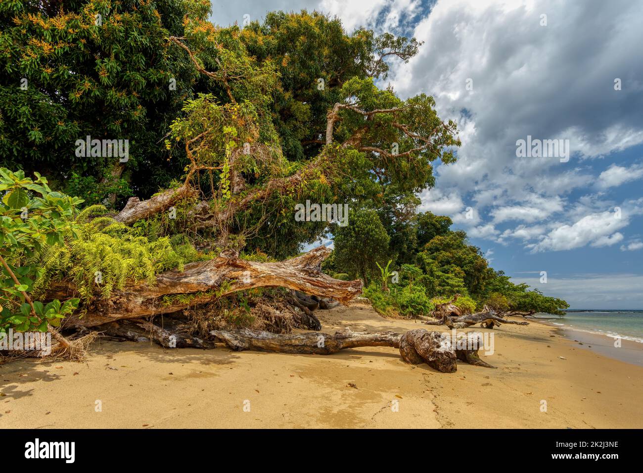 Beautiful view of the coast of Masoala National Park in Madagascar ...