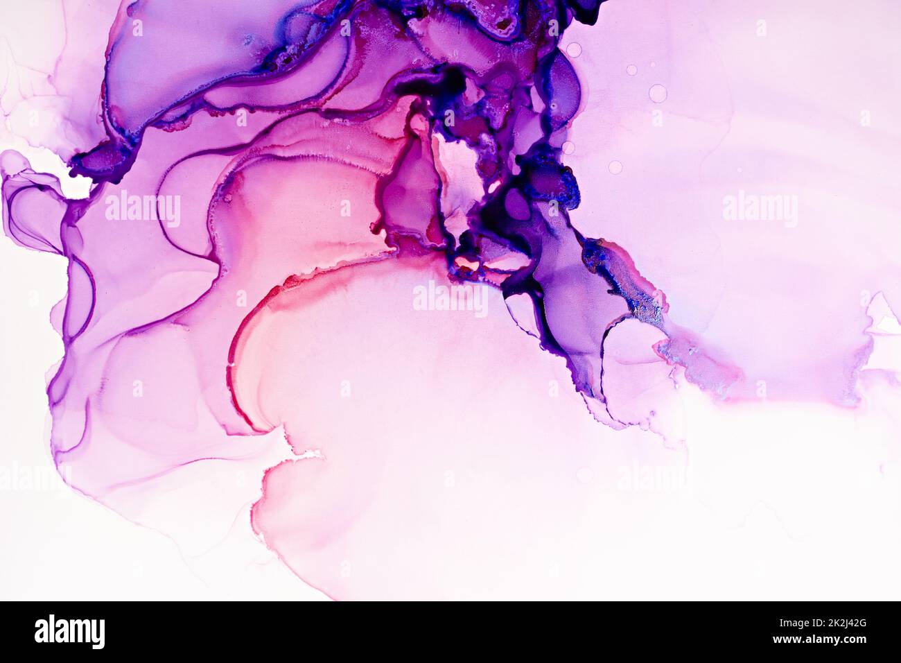 Close-up of purple alcohol ink abstract texture, trendy wallpaper. Art ...