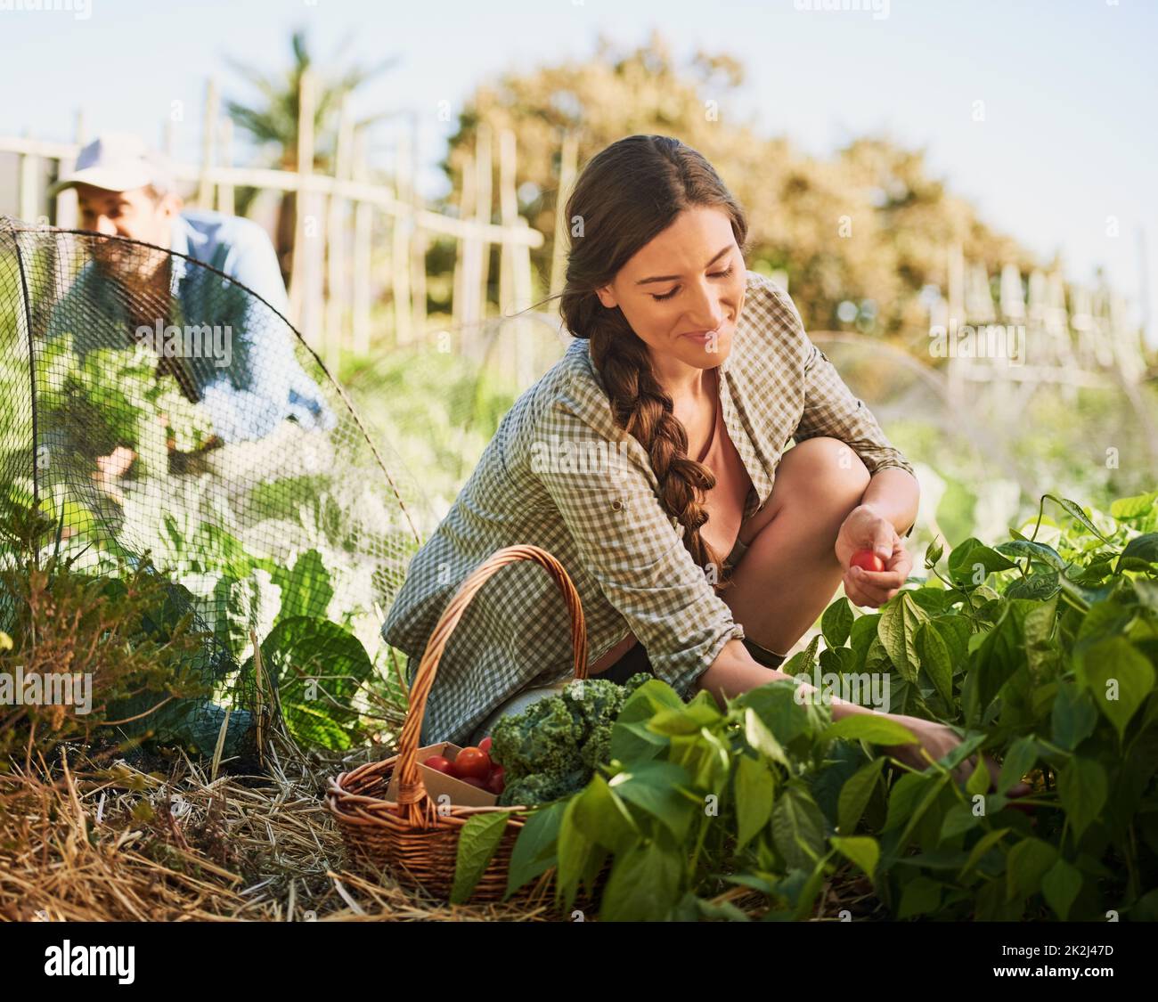 Nothing tastes better than homegrown produce. Shot of two happy young ...