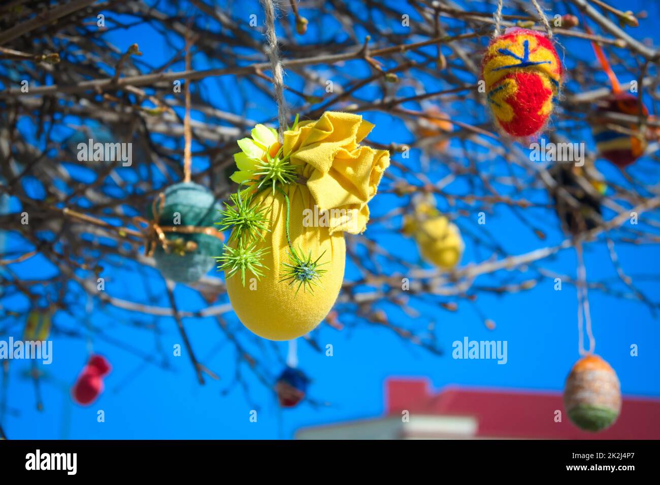 Hanging flower branches hi-res stock photography and images - Alamy