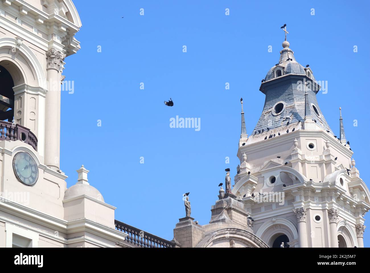Condor Flying Among the Twin Bell Towers of Lima Cathedral, an Iconic ...