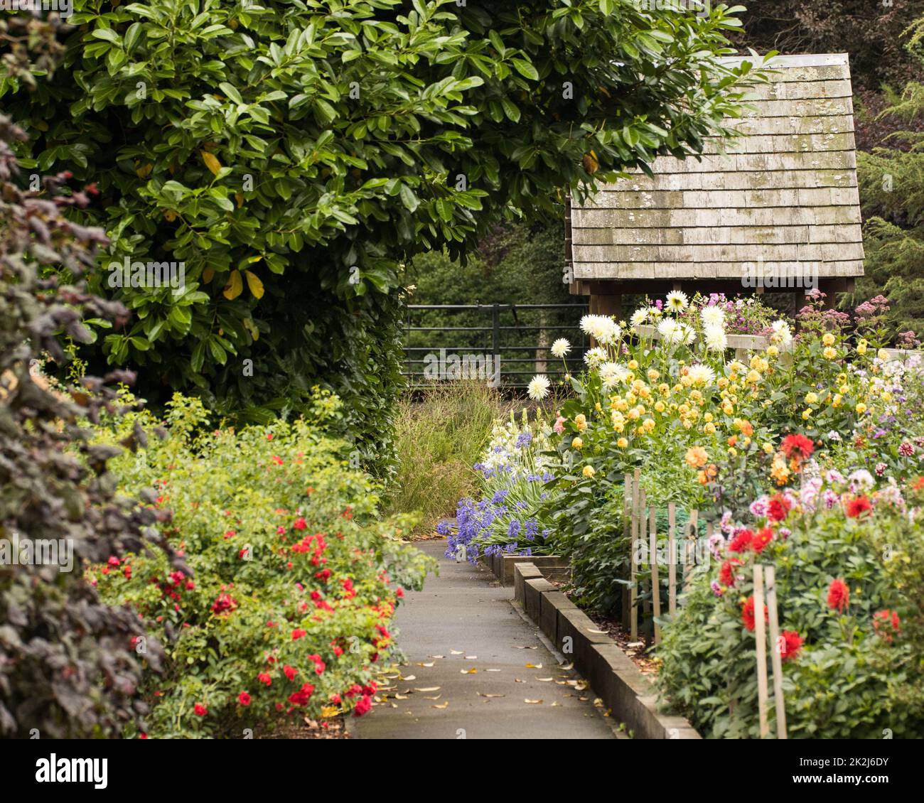 Breezy knees hi-res stock photography and images - Alamy