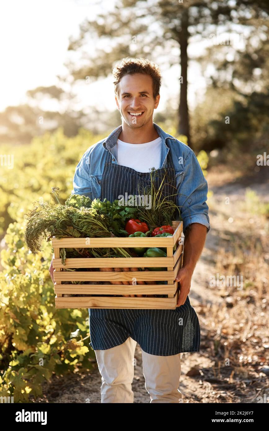 Producing healthy food in a sustainable way Stock Photo - Alamy