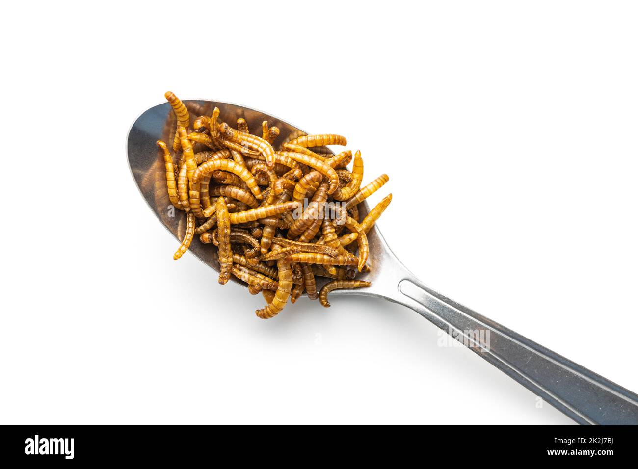 Fried salty worms. Roasted mealworms in spoon isolated on white ...