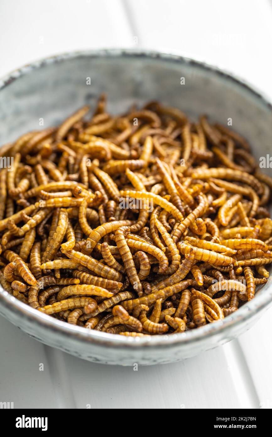 Fried salty worms. Roasted mealworms in bowl Stock Photo - Alamy