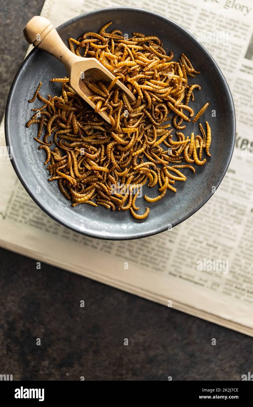 Worms on a plate hi-res stock photography and images - Alamy
