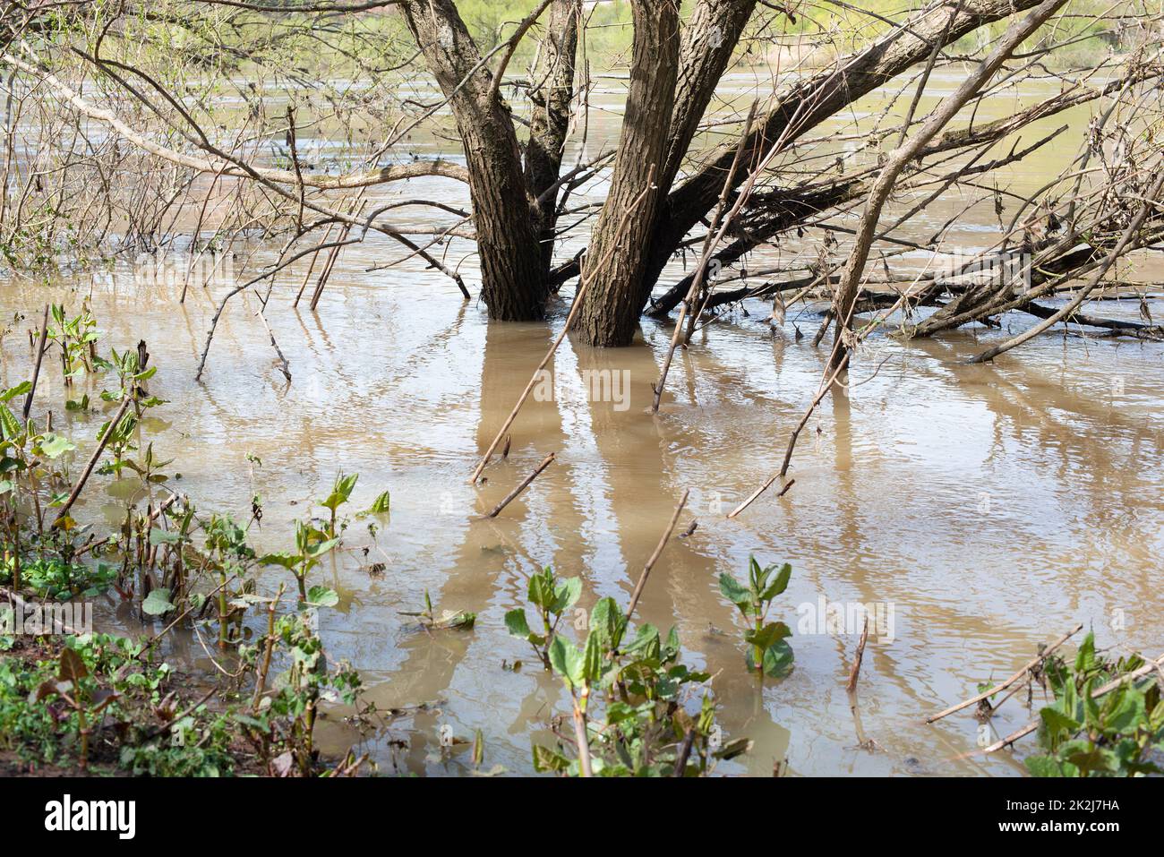 The river Moselle flooded parts of the city Trier, climate change ...
