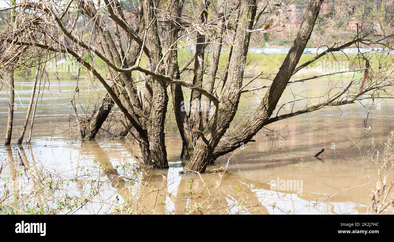 The river Moselle flooded parts of the city Trier, climate change ...