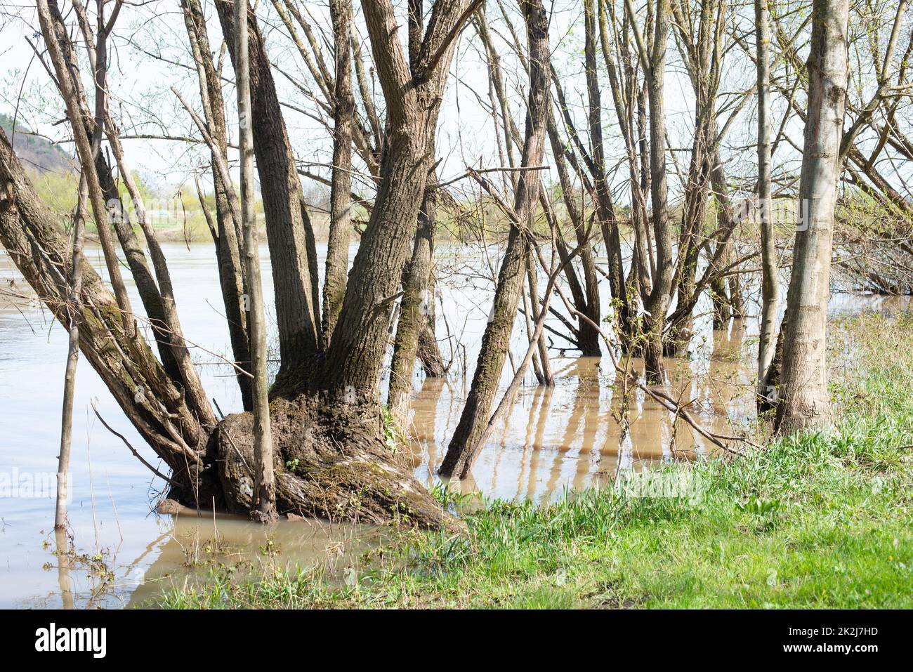 The river Moselle flooded parts of the city Trier, climate change ...