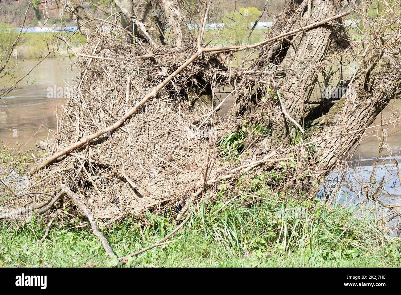 The river Moselle flooded parts of the city Trier, climate change ...