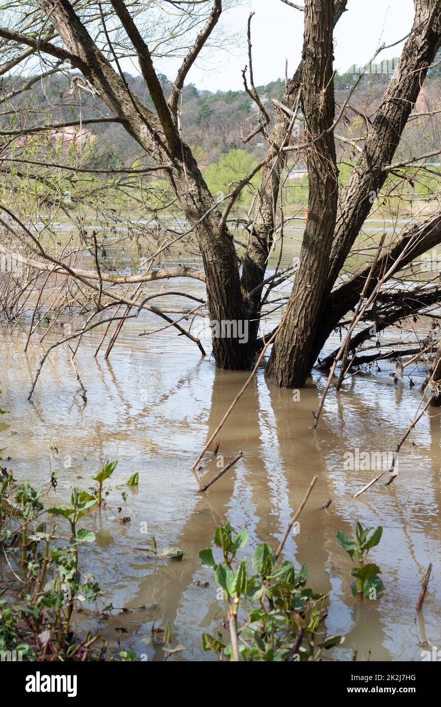 The river Moselle flooded parts of the city Trier, climate change ...