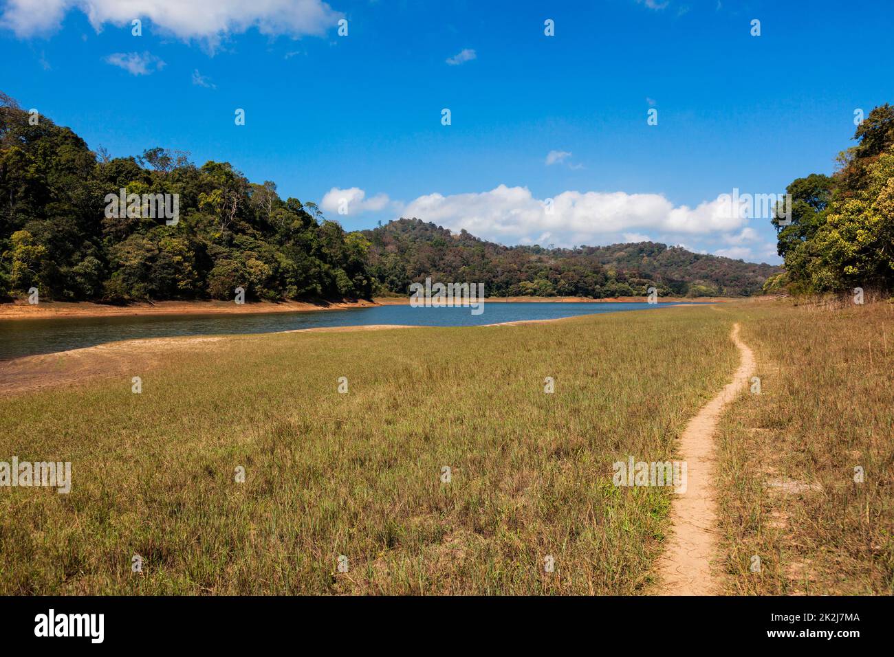 Periyar wildlife sanctuary, India Stock Photo - Alamy